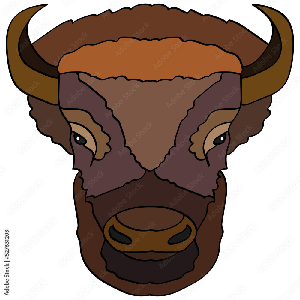 Bison head. Portrait of cattle, cow. Isolated on a white background ...