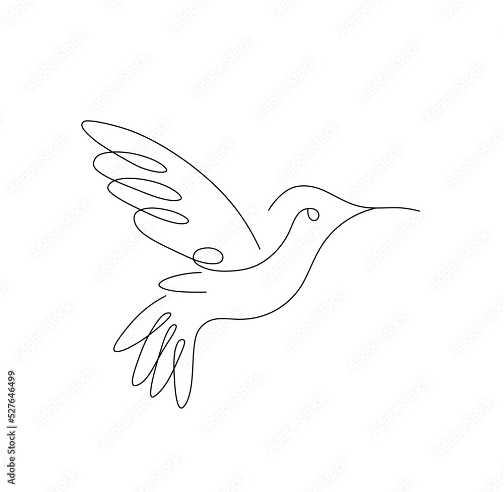 Vector isolated one little flying hummingbird colorless black and white ...