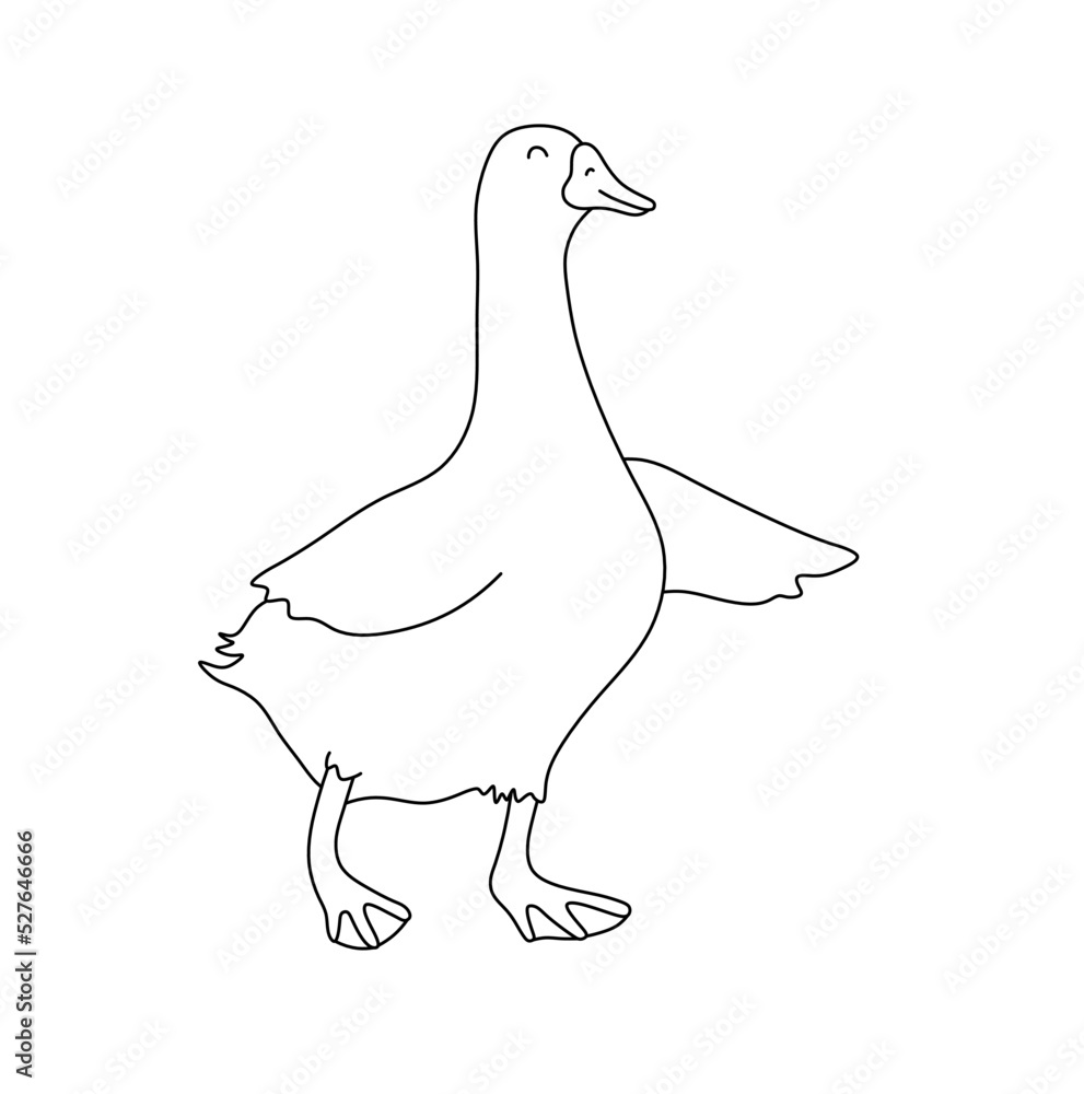 Vector isolated cute cartoon goose showing the direction with wing ...