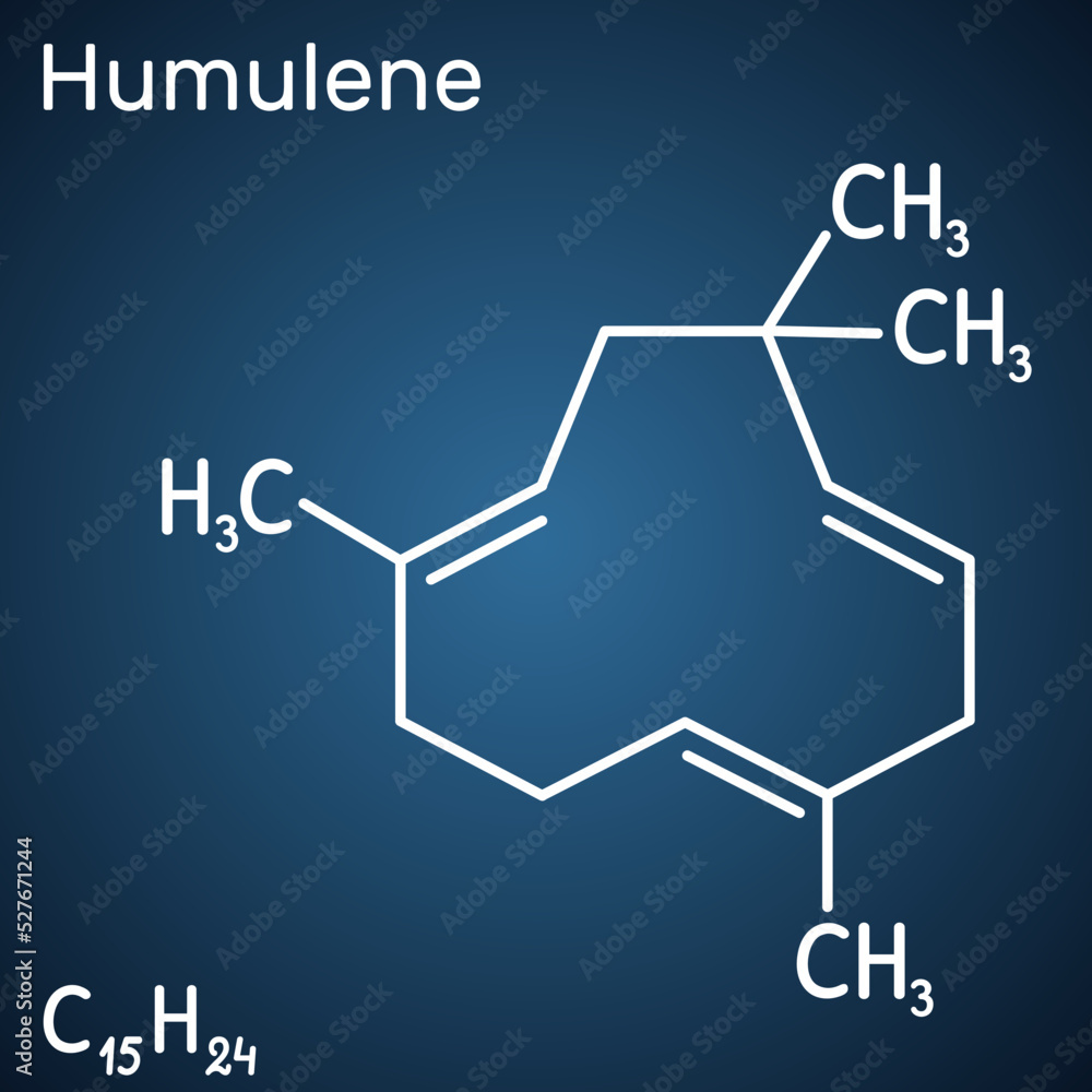 Vecteur Stock Humulene, alpha-humulene or α-caryophyllene molecule. It ...
