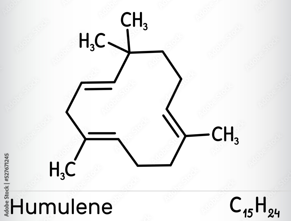 Humulene, alpha-humulene or α-caryophyllene molecule. It is component ...