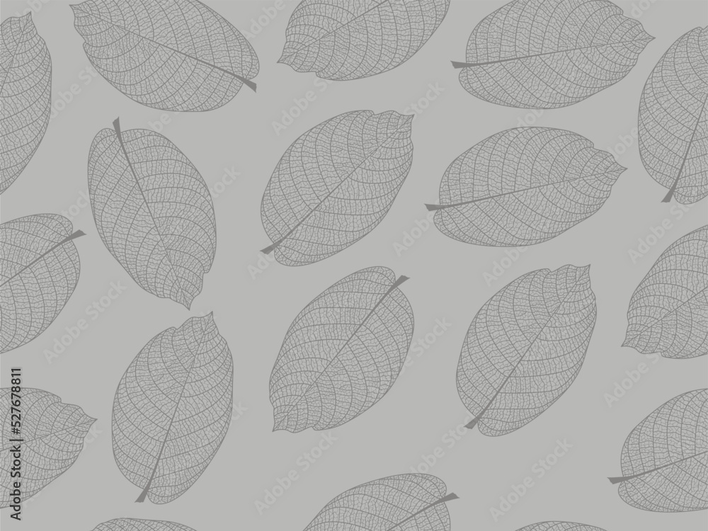 Vector illustration of leaves. Patterns of skeletal leaf cells, foliage ...