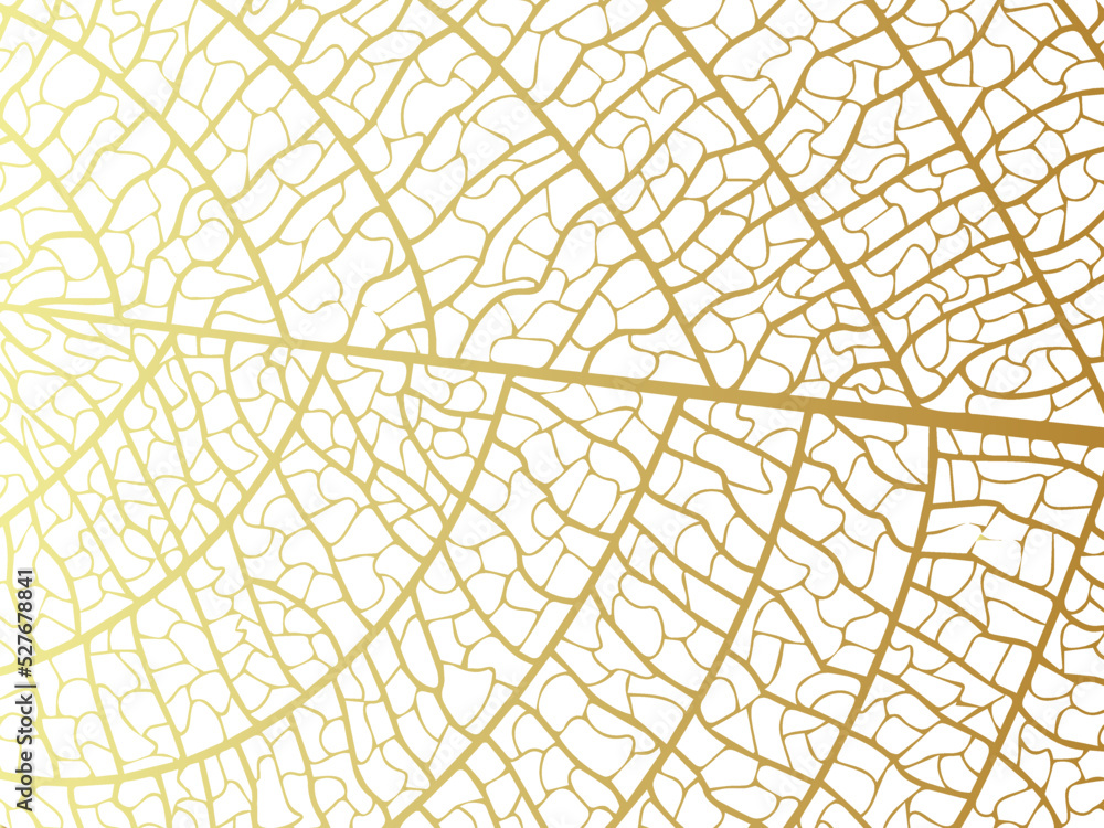 Vector illustration of gold leaves. Patterns of skeletal leaf cells ...