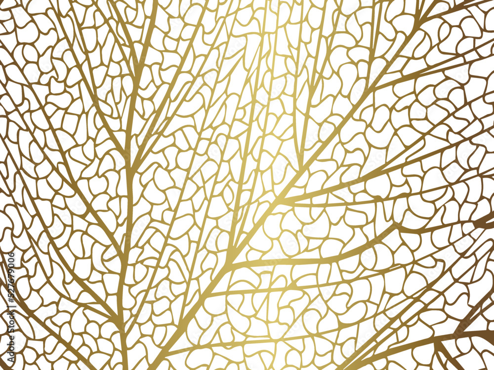 Vector illustration of gold leaves. Patterns of skeletal leaf cells ...