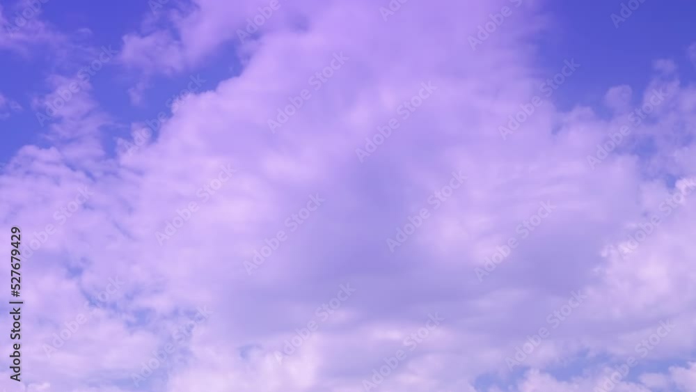 Cluster of Cumulus Clouds on a Purple Sky. Fluffy motionless clouds ...