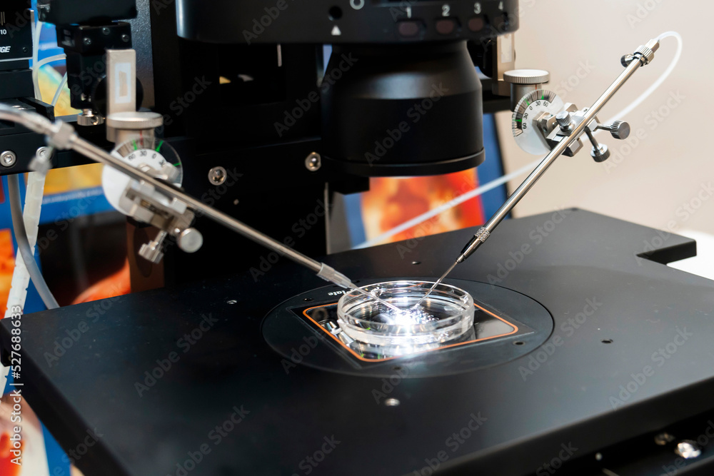 Modern IVF micromanipulator with Petri Dish in the laboratory of the in ...