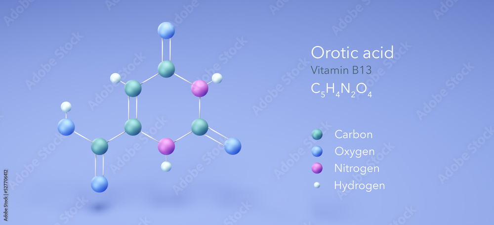 orotic acid, vitamin b13, molecular structures, 3d model, Structural ...