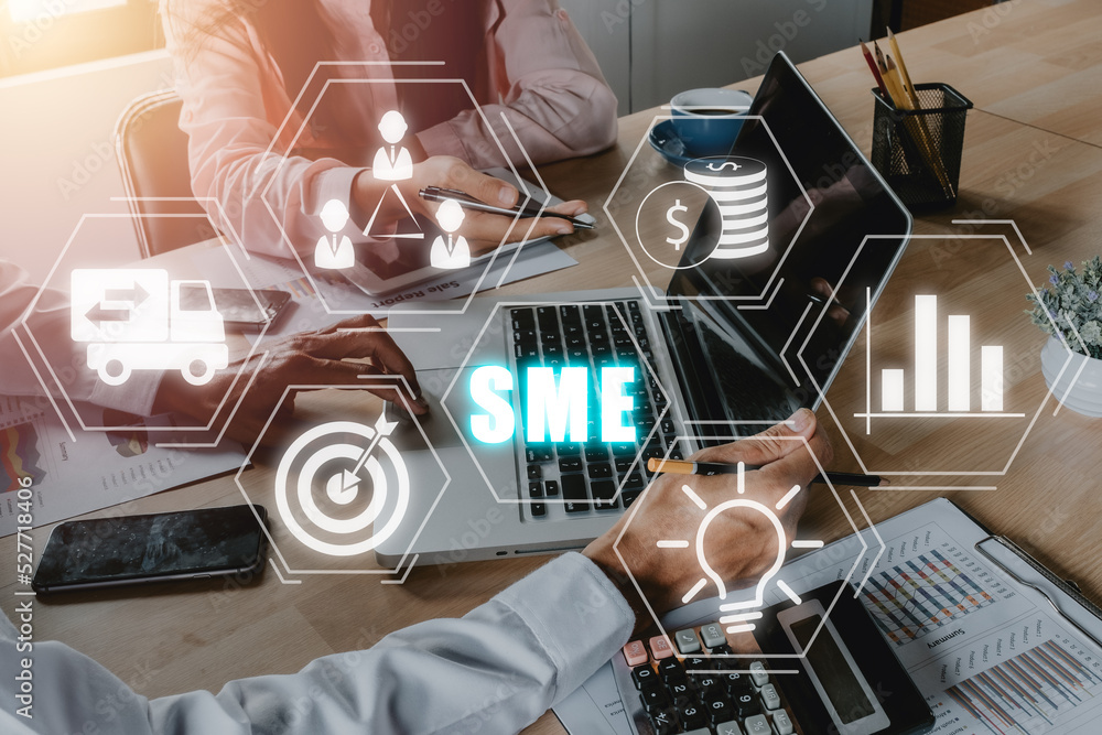 SME, Small and medium-sized enterprises, Business team analyzing income ...