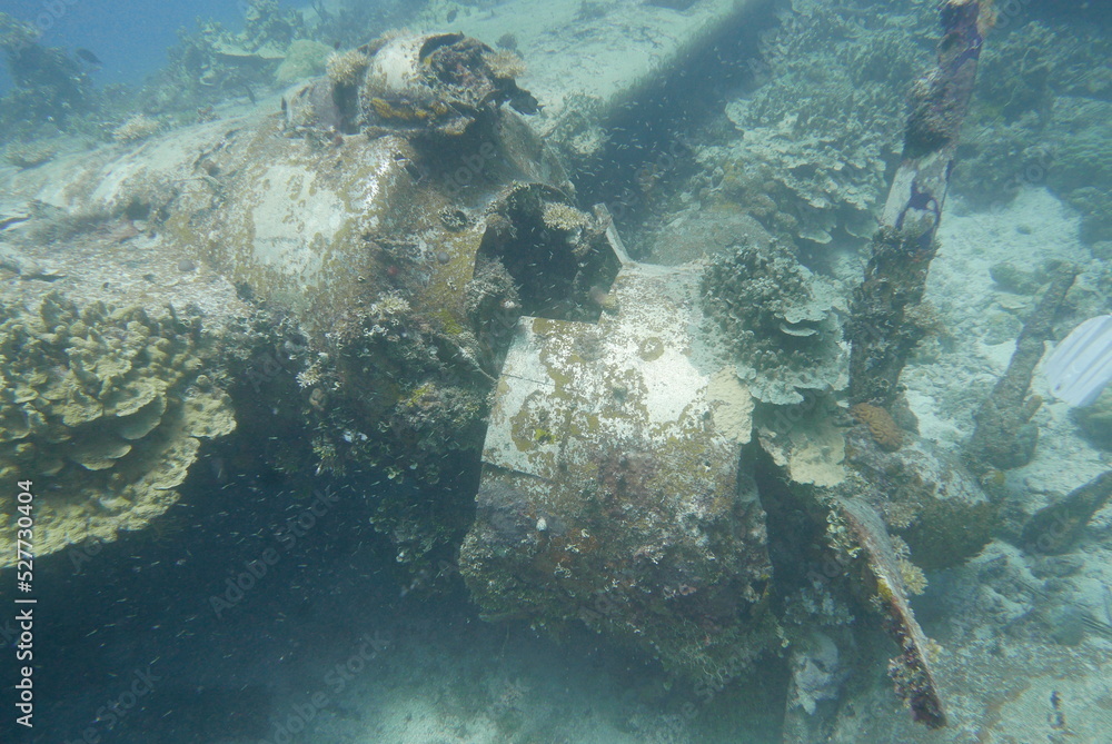 Japanese navy airplane Emily seaplane in WW2 Chuuk (Truk lagoon ...