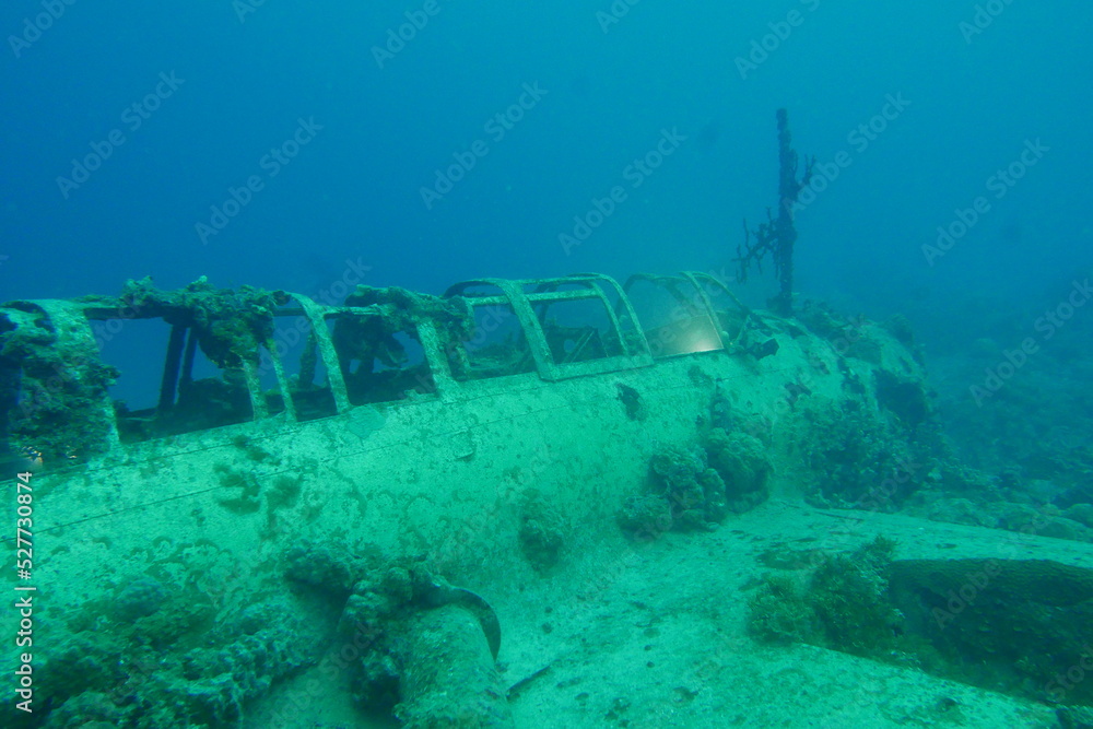 Japanese navy airplane Myrt "Saiun" in WW2. Chuuk (Truk lagoon ...