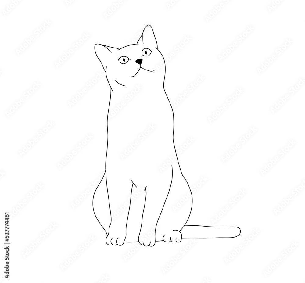 Cat Looking Up Drawing