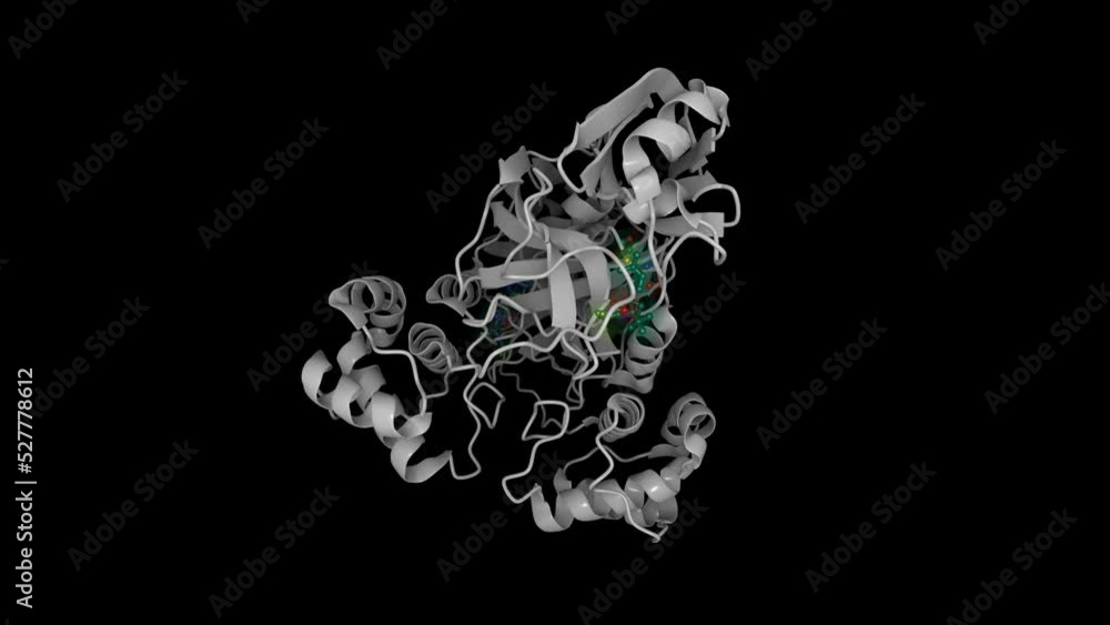 Structure of SARS-CoV-2 main protease (Mpro) in complex with ...