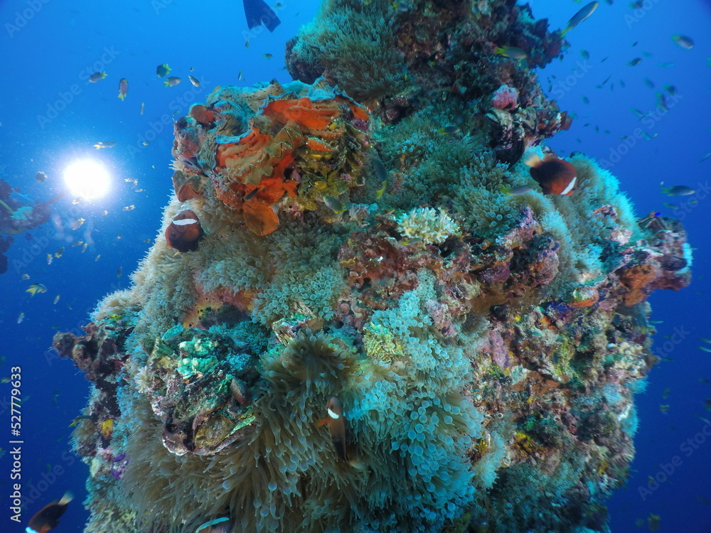 Diving on the "Iro" famous ship wrecks of the Palau archipelago. Diving ...
