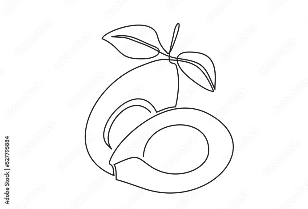 Continuous Line Drawing Of Avocado Vector Illustration Stock Vector