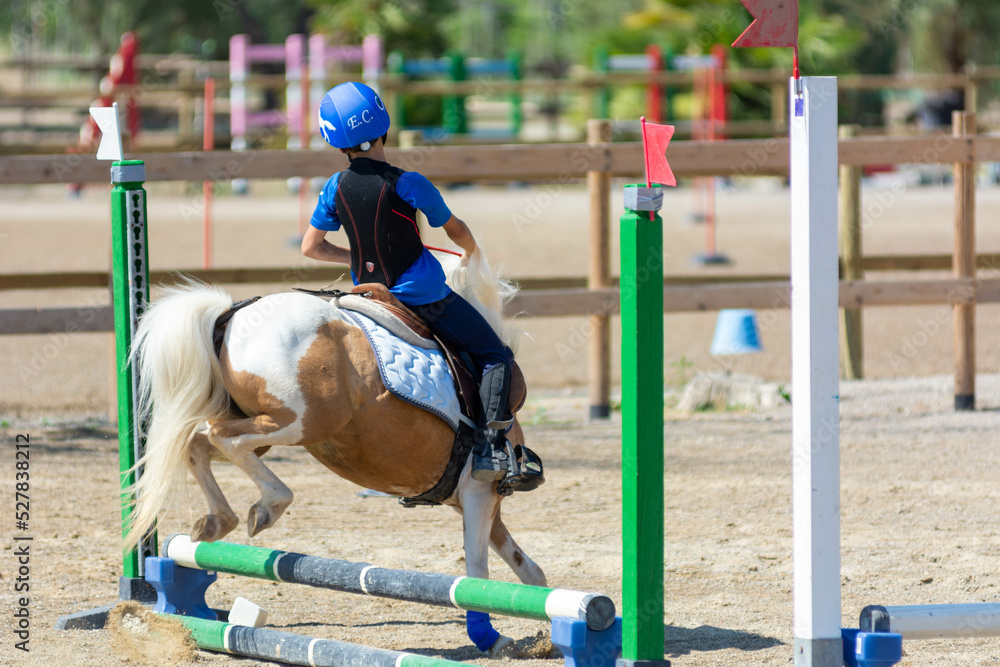 Little Girl that rides a white Pony and Jumps the obstacle during Pony ...