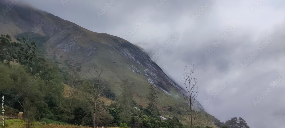 Foto de Munnar is a town in the Western Ghats mountain range in India’s ...
