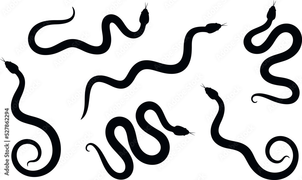 Snake silhouette set. Isolated snake silhouette on white background ...