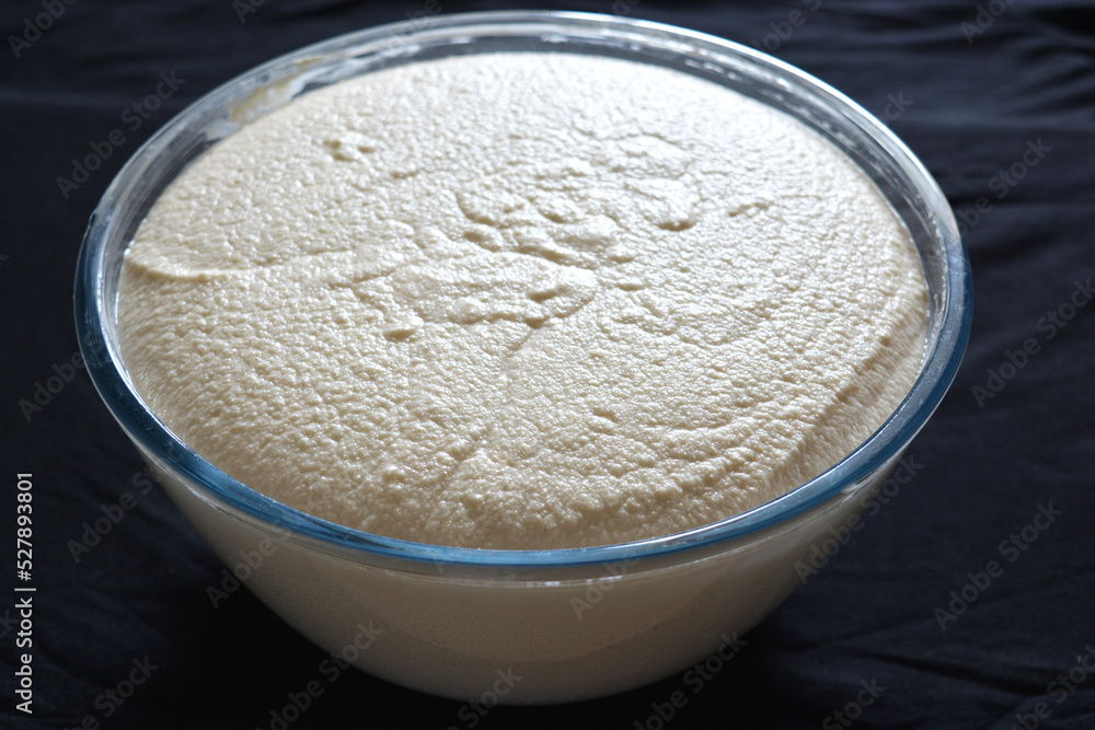 Fermented batter for idli or dosa Stock Photo | Adobe Stock