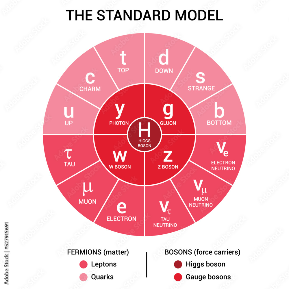 Standard Model Physics For Dummies