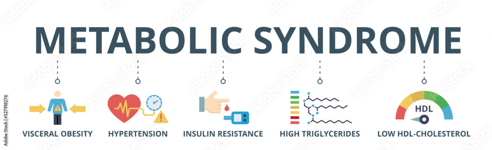 Symptoms of Metabolic Syndrome banner web icon vector illustration ...