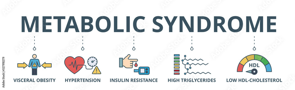Symptoms of Metabolic Syndrome banner web icon vector illustration ...