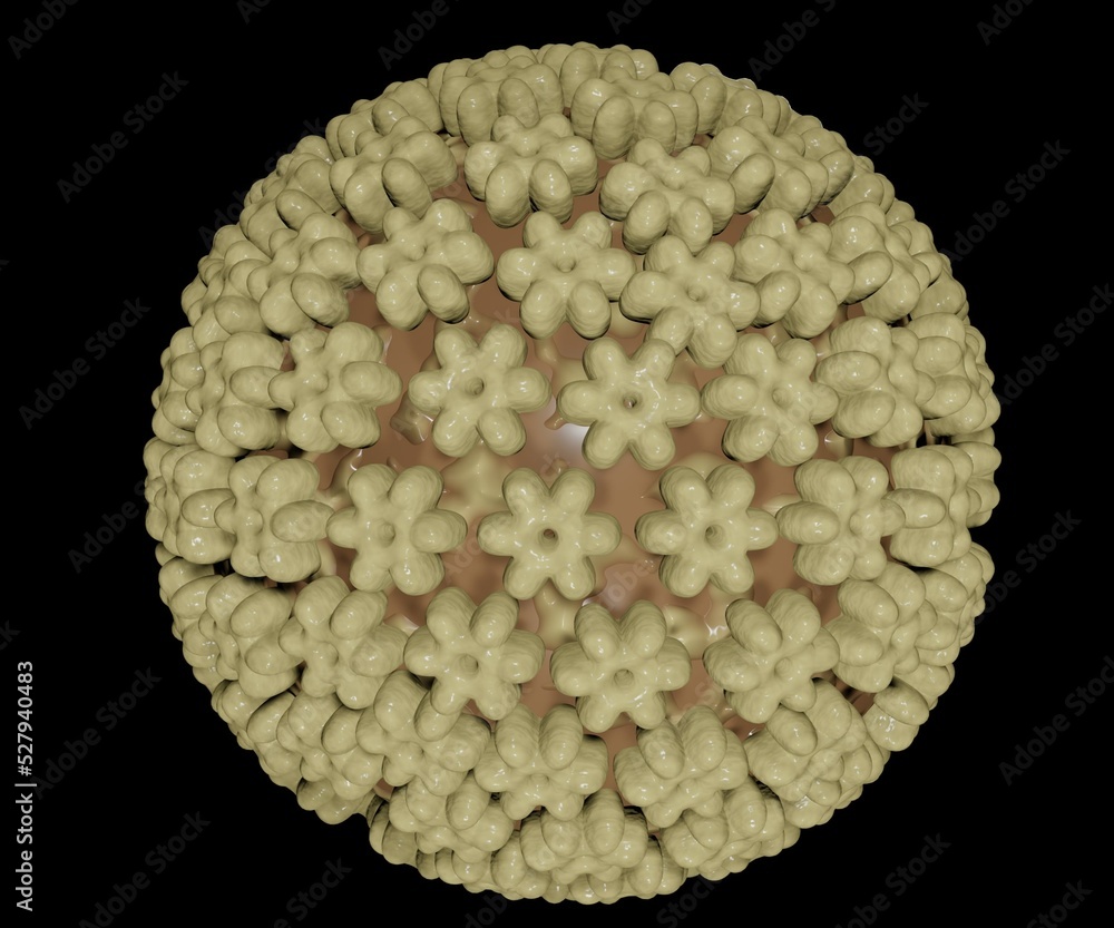 Herpes simplex virus 1 and 2 (HSV-1 and HSV-2) 3d rendering Stock ...