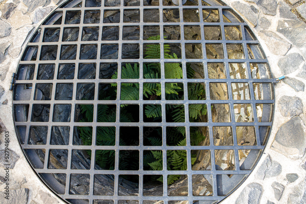 grating of an old well in the royal court Stock Photo | Adobe Stock