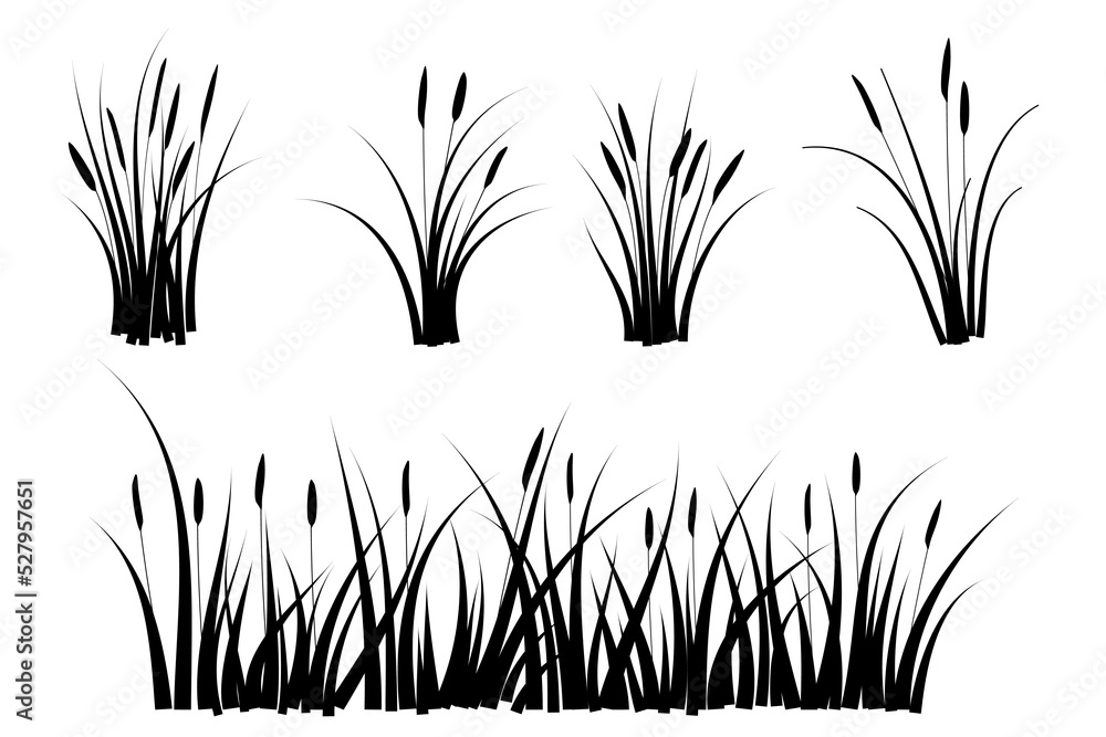 reeds grass silhouette set Stock Vector | Adobe Stock
