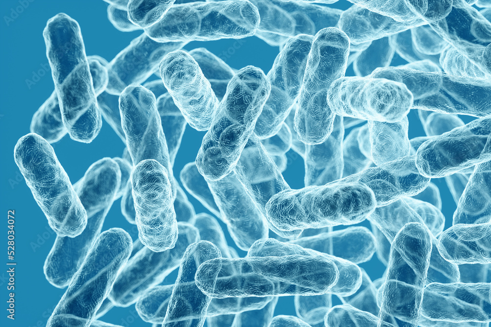 Enterobacteriaceae, gram-negative rod-shaped bacteria, part of ...