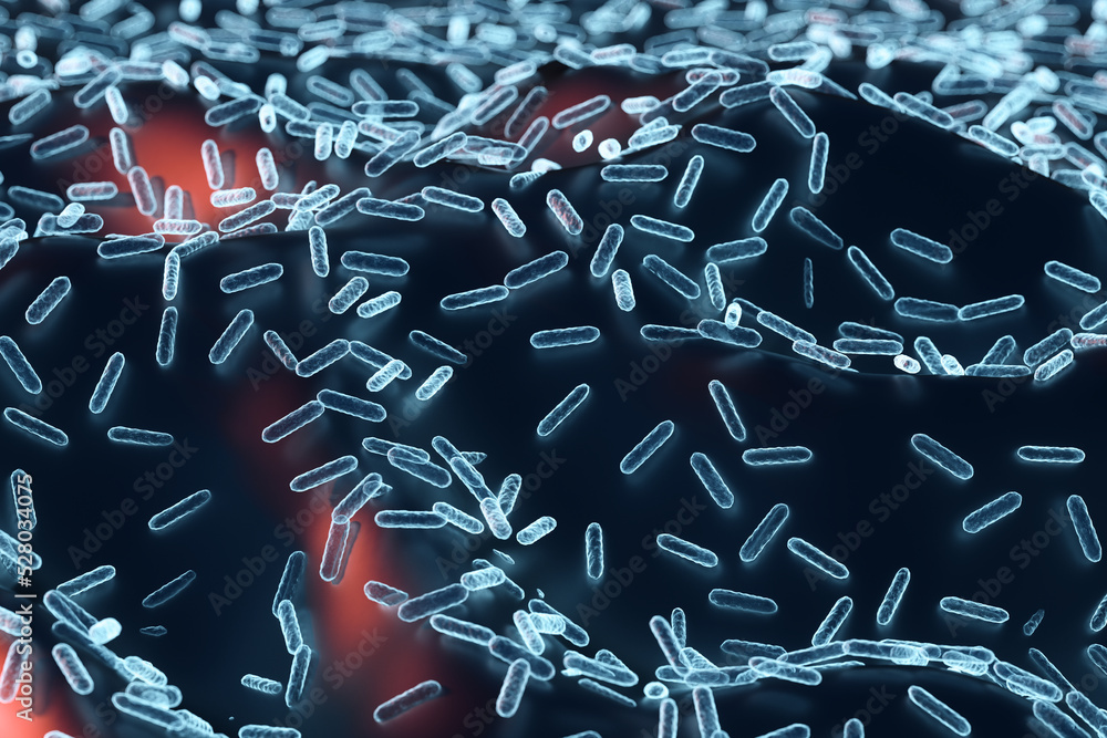Enterobacteriaceae, gram-negative rod-shaped bacteria, part of ...