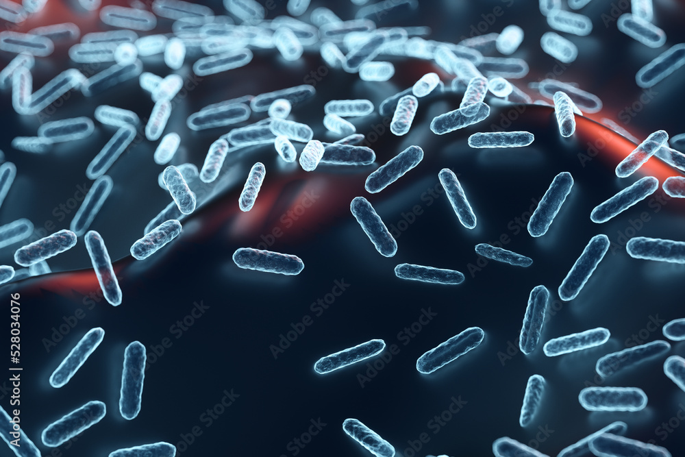 Enterobacteriaceae, gram-negative rod-shaped bacteria, part of ...