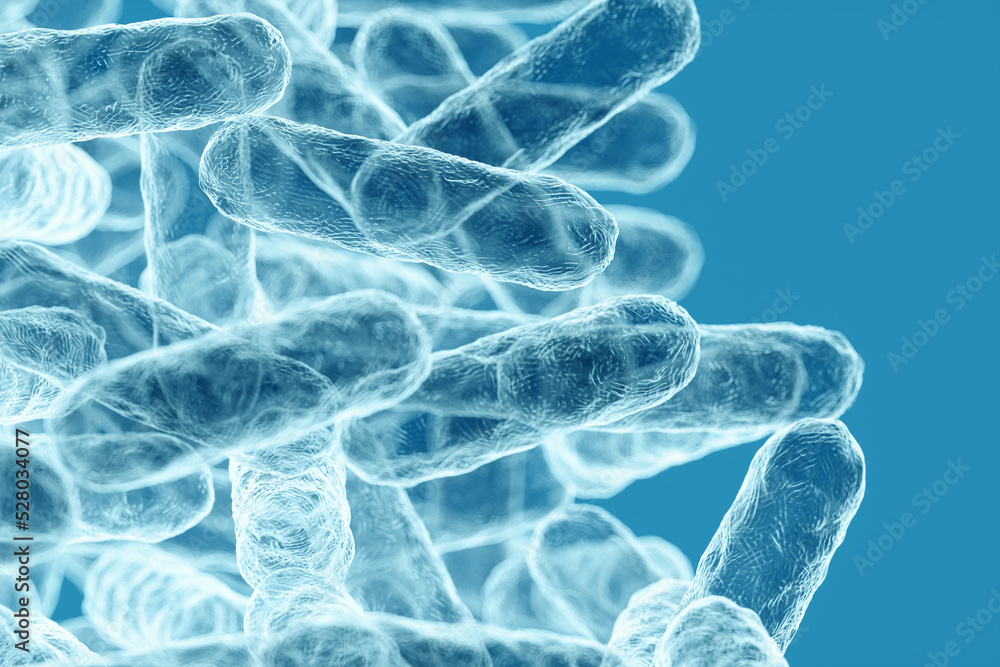 Enterobacteriaceae, gram-negative rod-shaped bacteria, part of ...