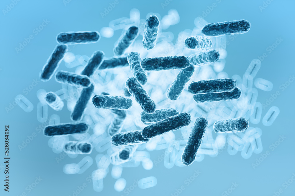 Enterobacteriaceae, gram-negative rod-shaped bacteria, part of ...