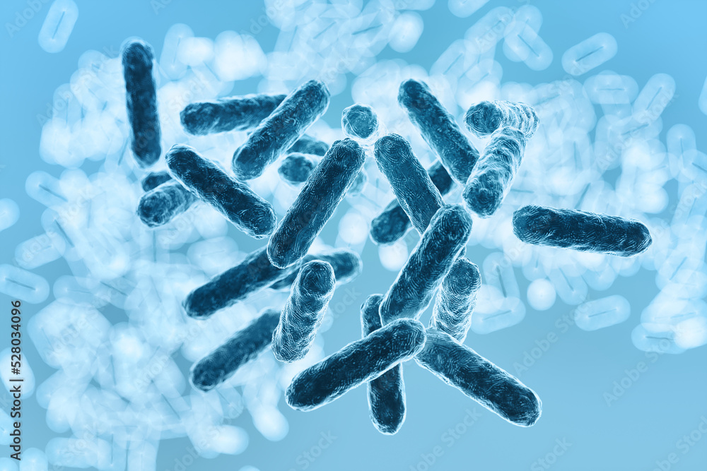 Enterobacteriaceae, gram-negative rod-shaped bacteria, part of ...