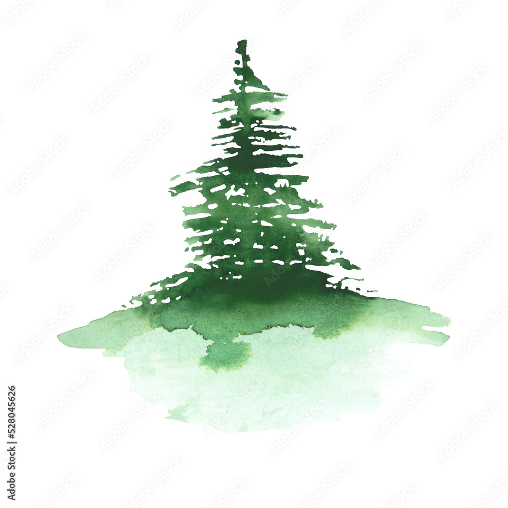 Watercolor pine tree isolated on a transparent background. Evergreen ...