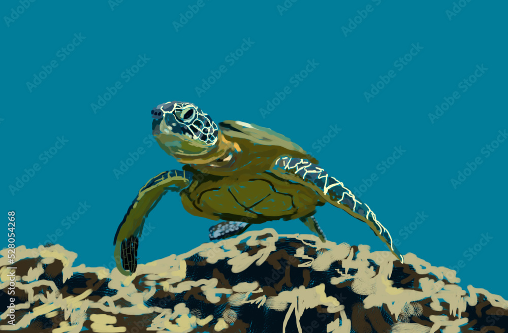 Drawing of a turtle The turtle is drawn with various sets of brushes in ...