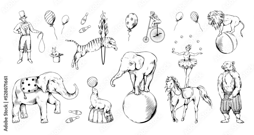 Vintage circus animal set. Bear on bike, sketch elephant and tiger, cute monkey on bicycle hand ...