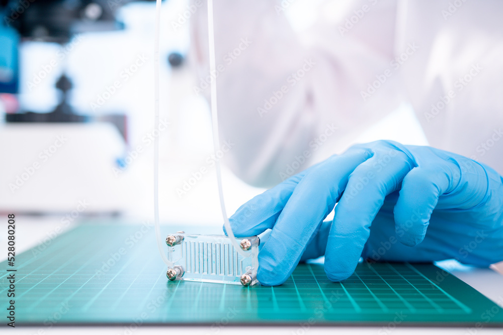 Organ-on-a-chip (OOC) - microfluidic device chip that simulates ...