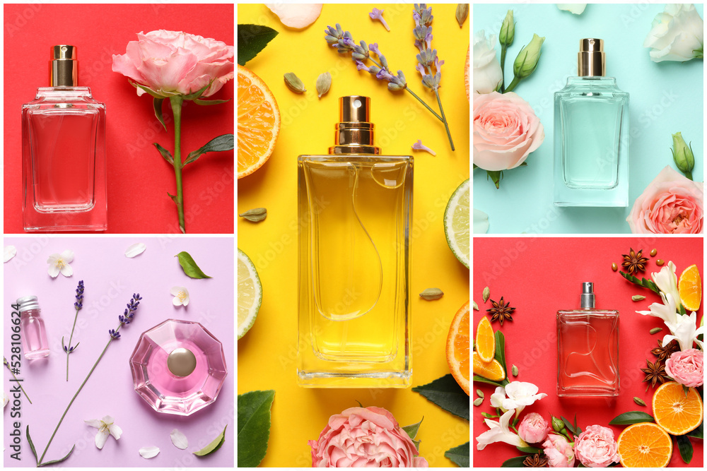 Beautiful collage with photos of luxury perfume and ingredients ...