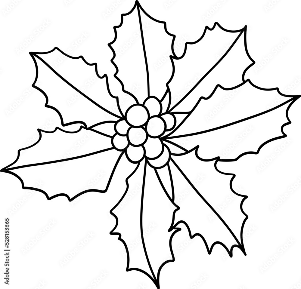 Christmas Holly berries, Digital Vector illustration, Outline design ...