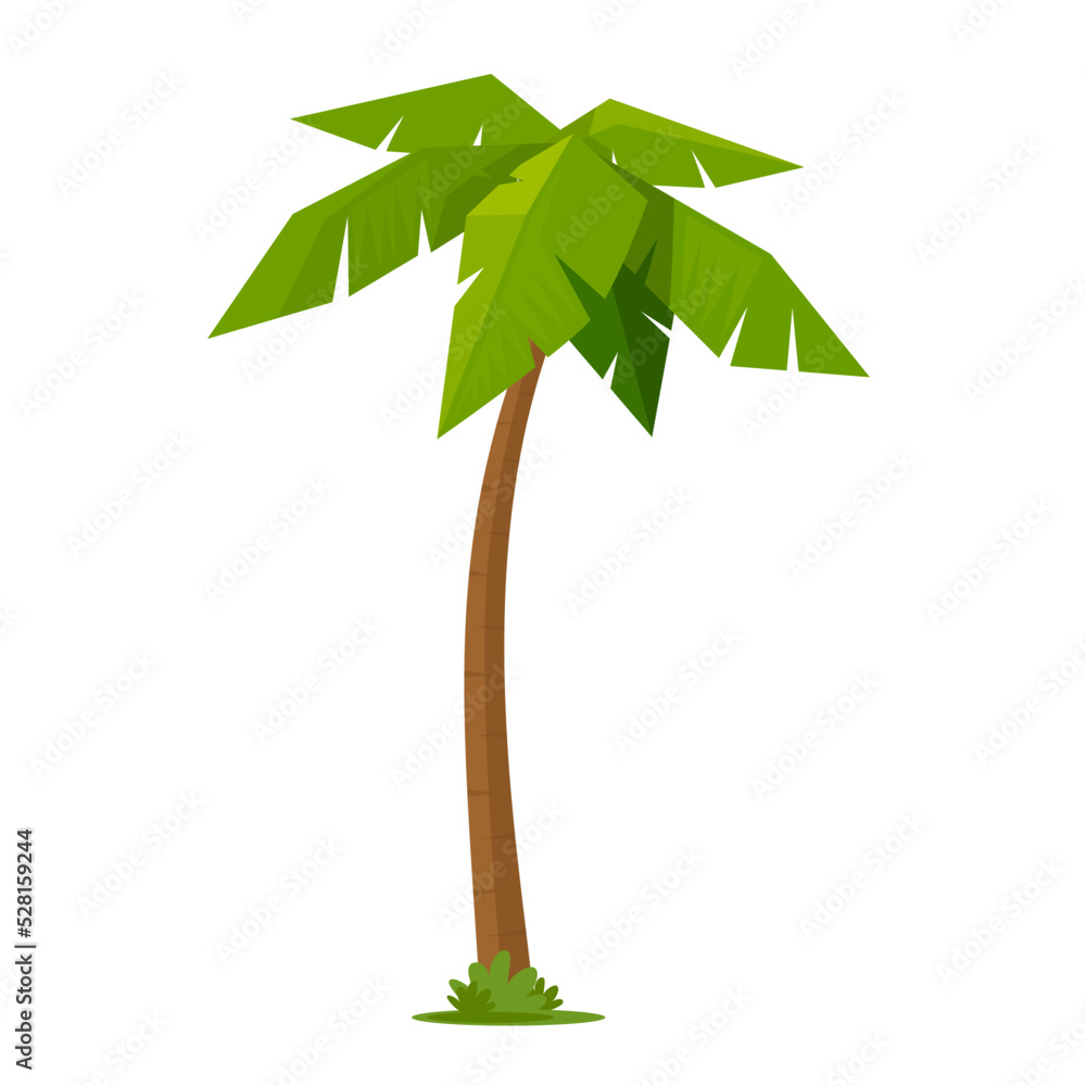 coconut palm tree flat vector illustration clipart isolated on white ...