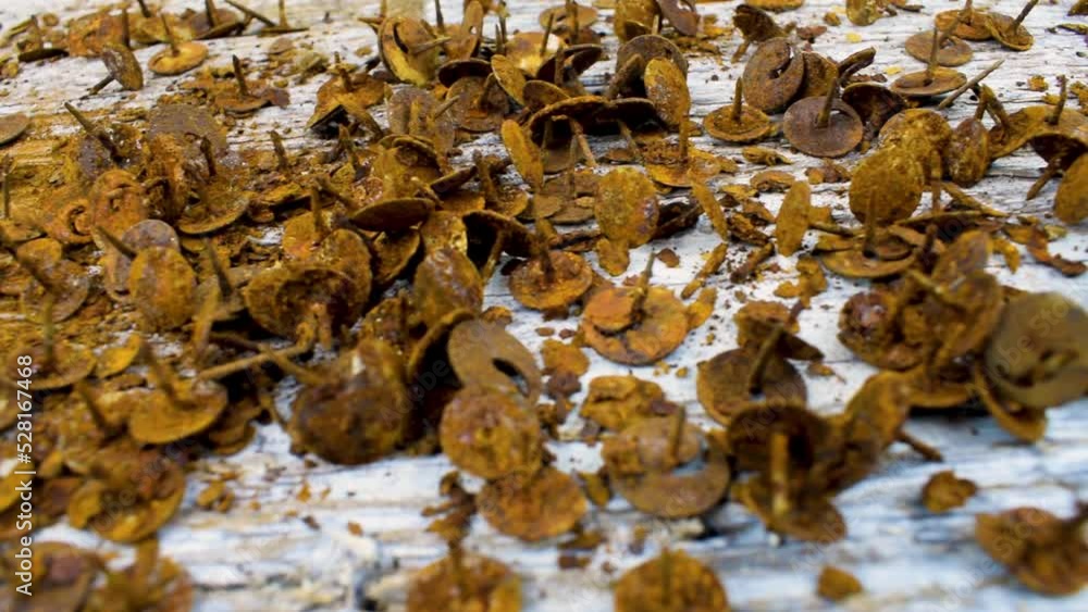 Video „Rusty thumbtacks pushpins nails on white wood surface. Rusty ...