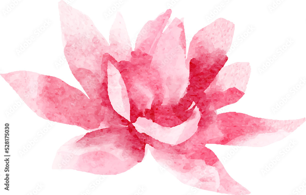 pink lotus flower, watercolor illustration, hand drawing, floral ...