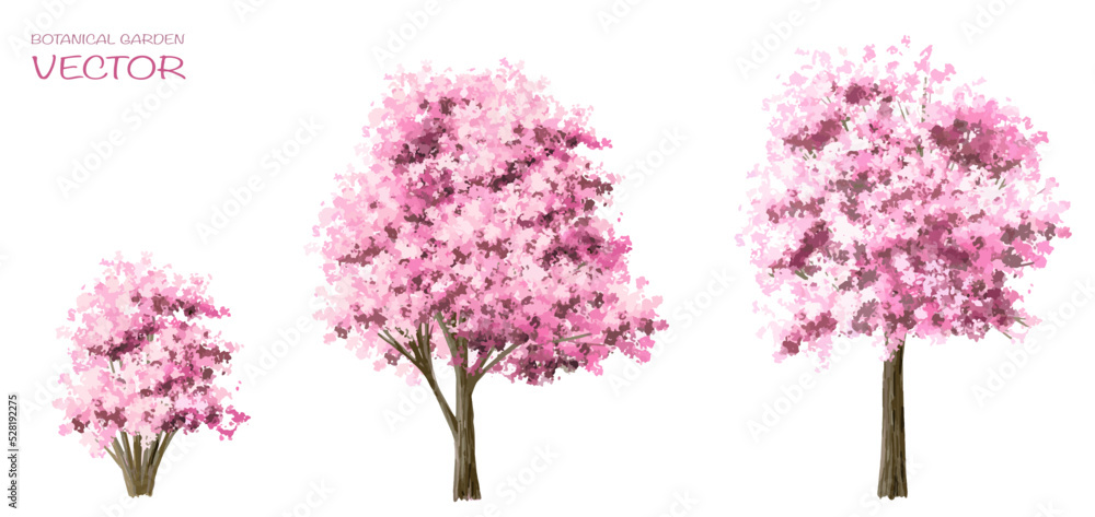 Vector watercolor blooming flower tree or forest side view isolated on ...
