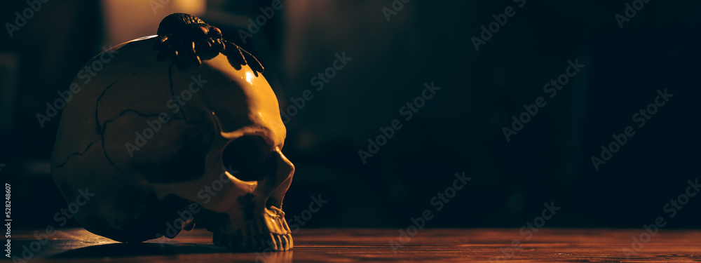 Human skull in dark tone background for using in Halloween concept ...