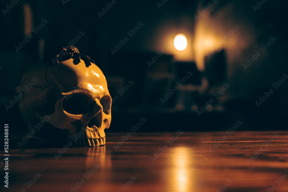 Human skull in dark tone background for using in Halloween concept ...