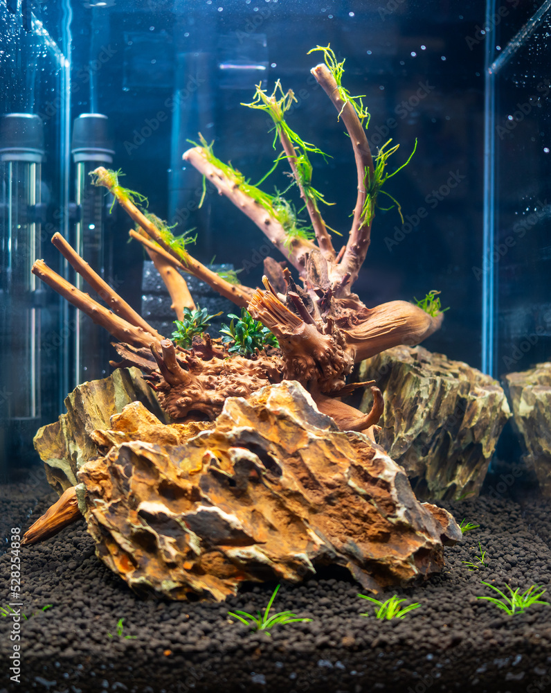 Freshwater Aquarium Driftwood