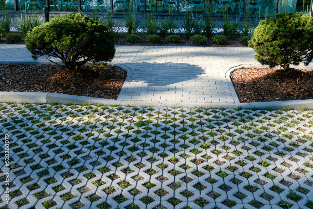 Small pine tree mulched with natural brown bark mulch near pedestrian ...