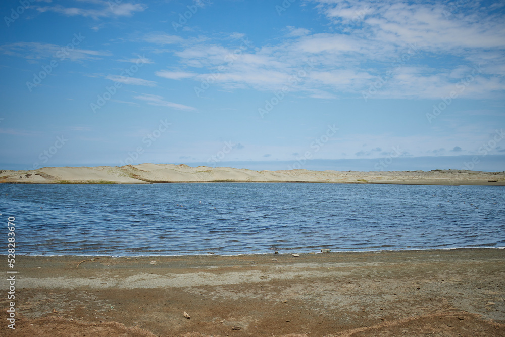Humedales de Punta Balcones, Talara, Perú. Stock Photo | Adobe Stock