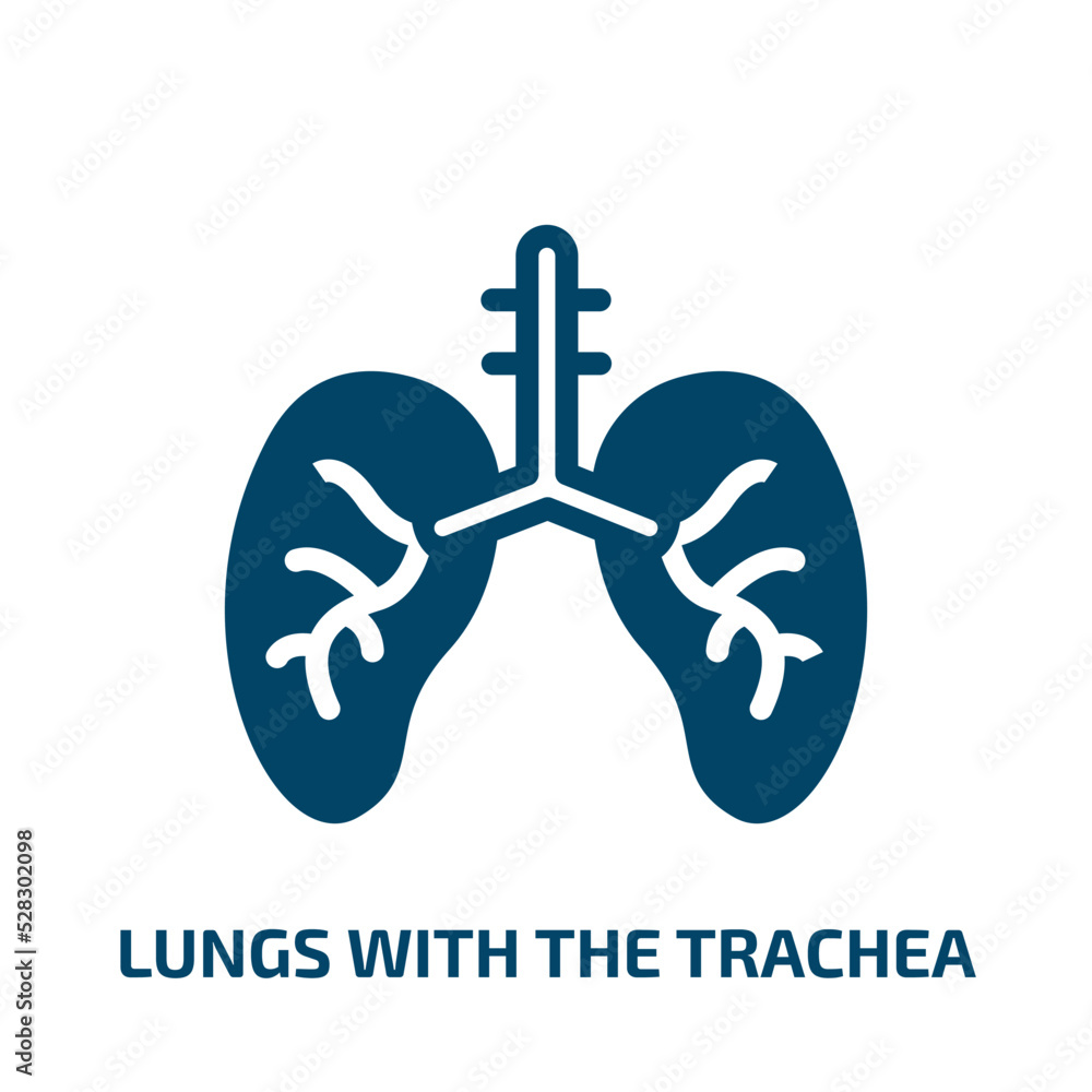 lungs with the trachea vector icon. lungs with the trachea, trachea ...